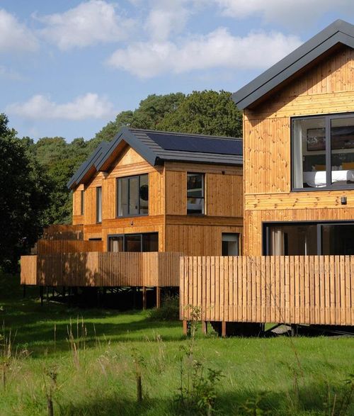 Rapidroot foundations